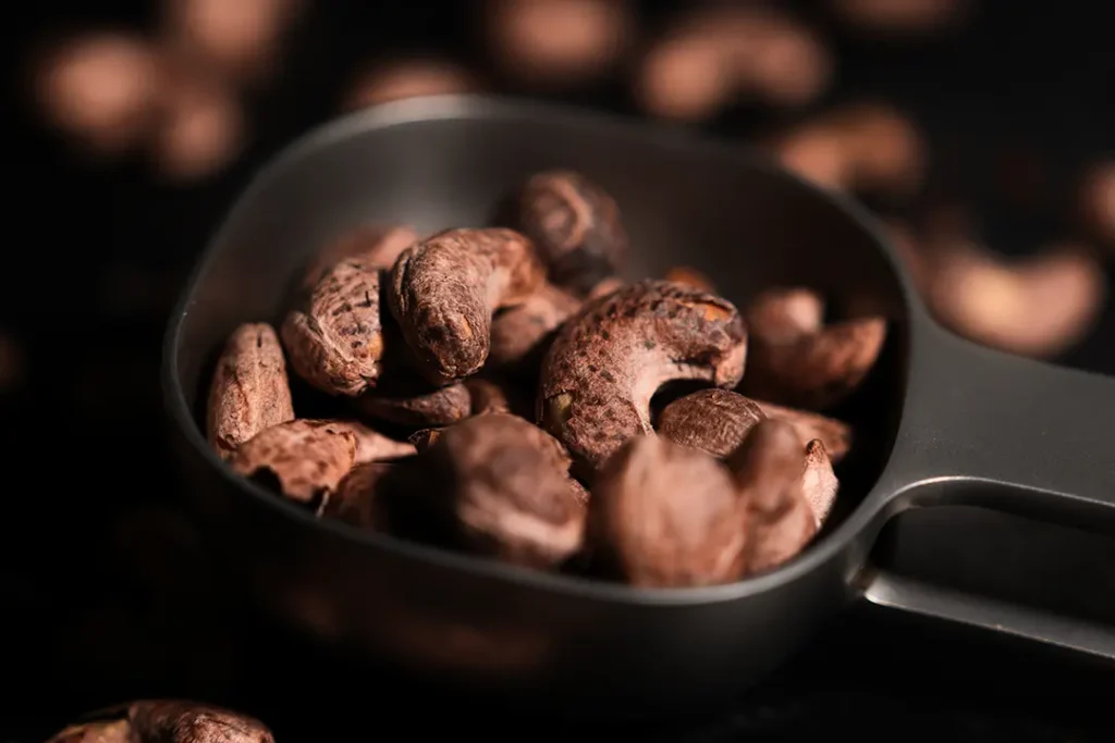 Sea Salt Cashews Nut with Skin | Daniel Machine